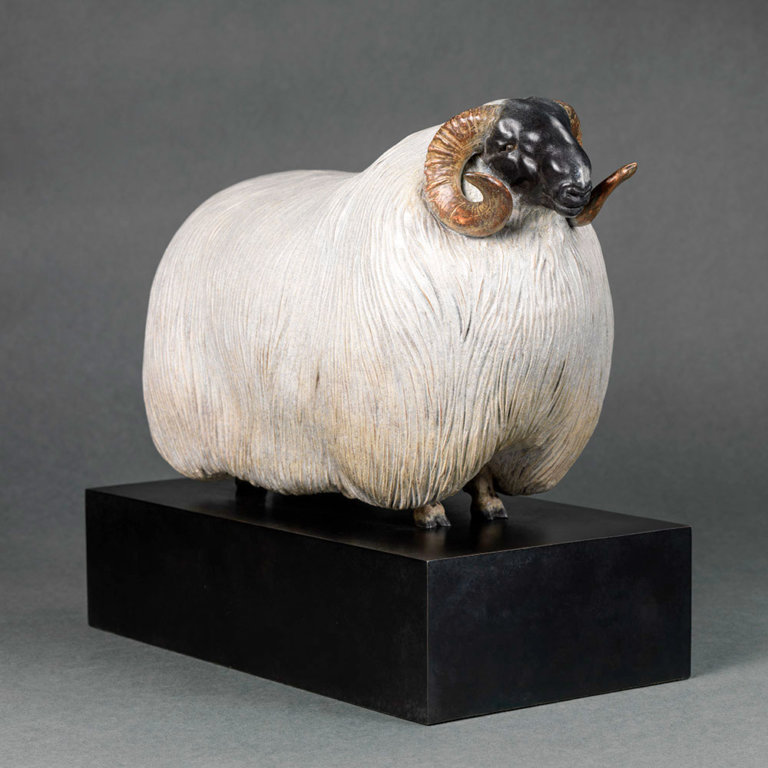 Scottish Blackface Sheep - Bronze Sculpture by Nick Bibby