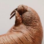 Ltd Edition Bronze Walrus Sculpture by Nick Bibby