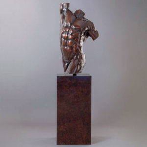 Apollo (Heroic Male Torso Sculpture) - Bronze, by Nick Bibby