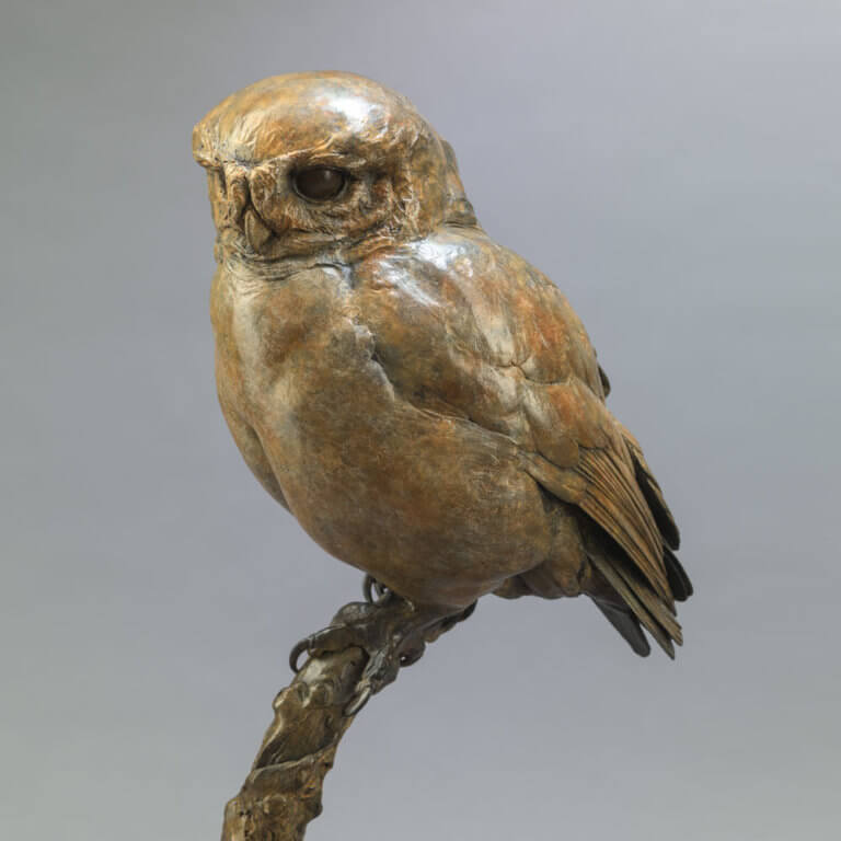 Barn Owl Bronze Sculpture by Nick Bibby