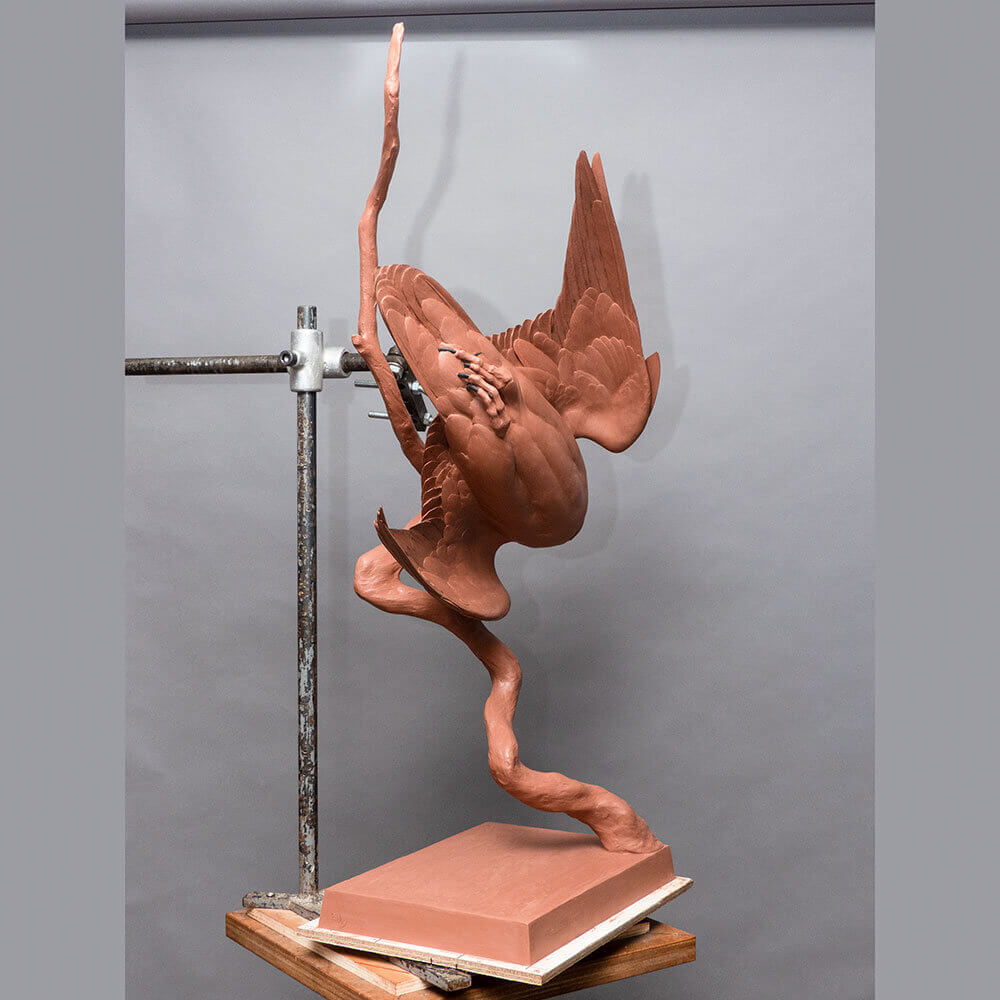 Peregrine Falcon 2 - Ltd Edition Bronze Sculpture by Nick Bibby