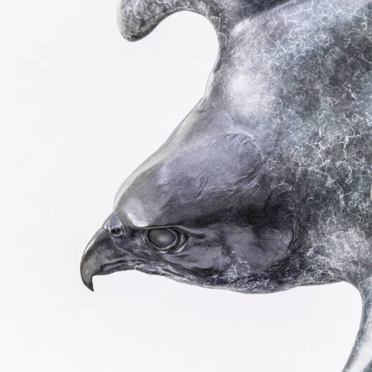 Peregrine Falcon 2 - Ltd Edition Bronze Sculpture by Nick Bibby